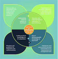 Understanding Climate Change Policies: A Comprehensive Guide ...